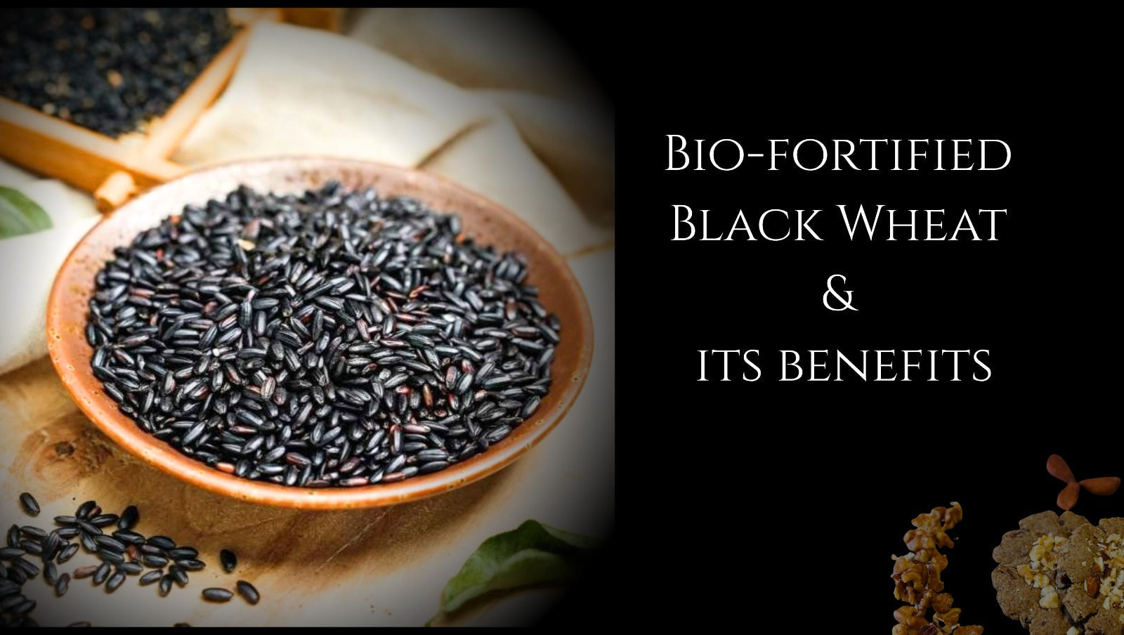Black Wheat vs Regular Wheat: Why This Dark Grain Wins for Health ...